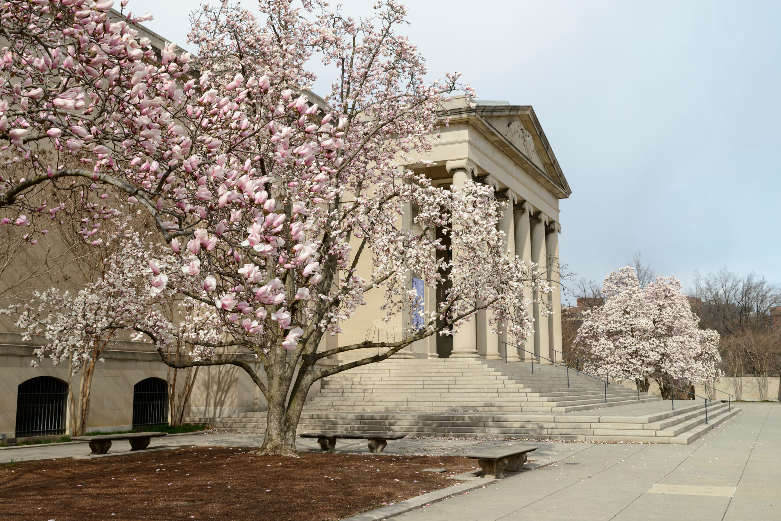 Baltimore Arts & Culture 2025 - GayCities Baltimore